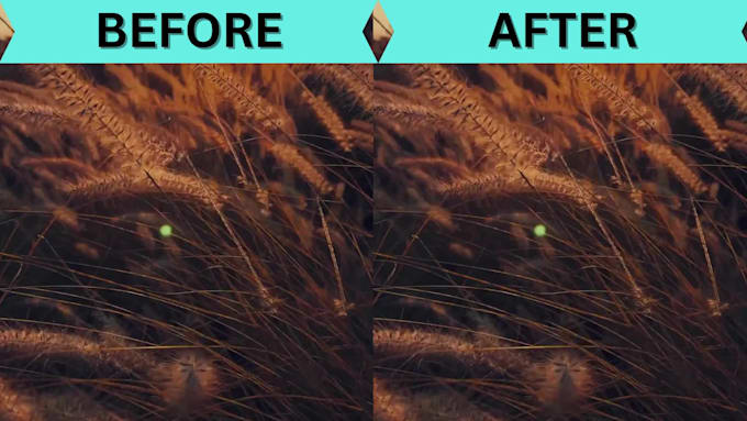 Compress your video without loss of quality by Oldahsan | Fiverr