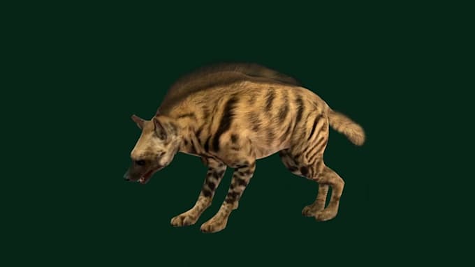 Create realistic 3d animal model, 3d animal animation, 3d character ...