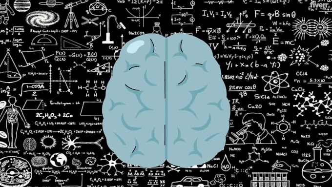 Create 2d isometric or flat explainer video animation by Nikolaaus | Fiverr