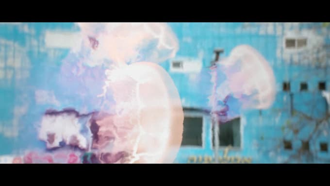 Create visual effects with digital compositing by Guylubin | Fiverr