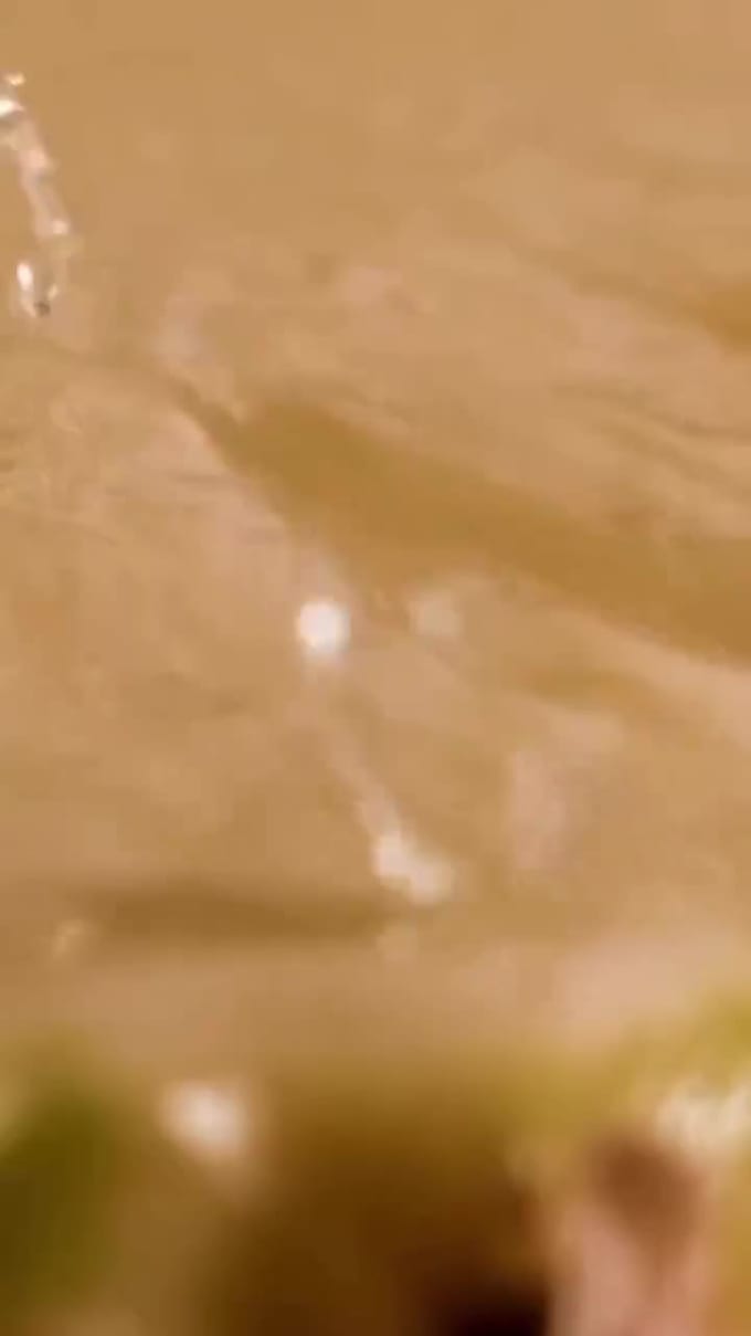 Make unique 8k 3d fluid water simulation liquid simulation in houdini sidefx by Patba_tee | Fiverr