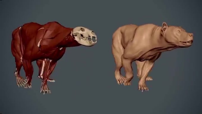 Do 3d animal animation,3d animal rigging,3d animal modelling by ...