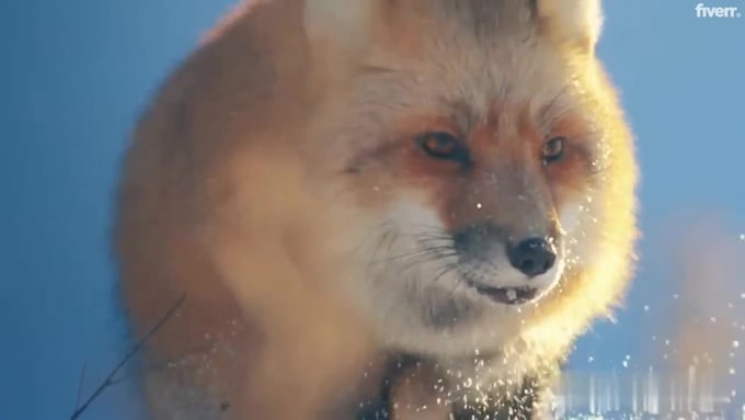 Photorealisti model and animation for your 3d animal cgi with full ...