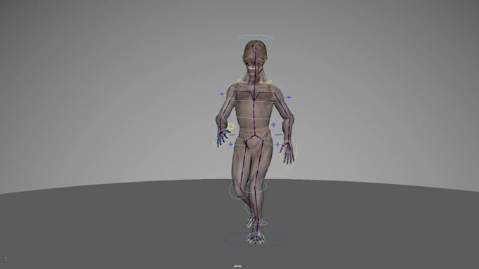 Rig your 3d character, props, game assets by Fanta_motion | Fiverr