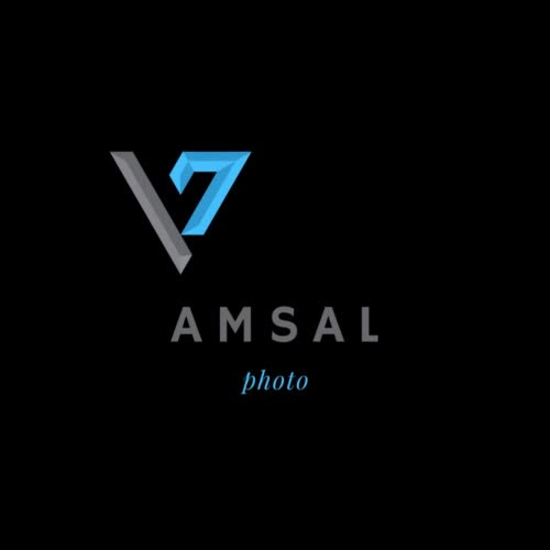 Create a beautiful logo for your business by Amsalusamuel | Fiverr
