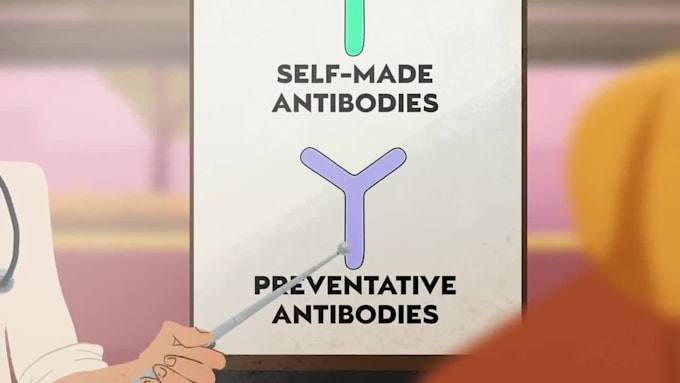 Do 2d animated explainer video 2d animation 2d medical animation video ...