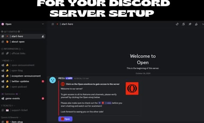 Do discord setup, discord server with custom bot and automation by Bayo_airtable | Fiverr