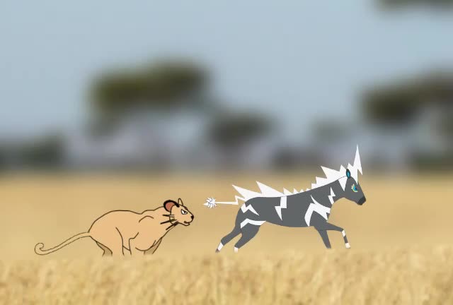 Create quality 2d animation for any purpose by Jt_pro_animator | Fiverr