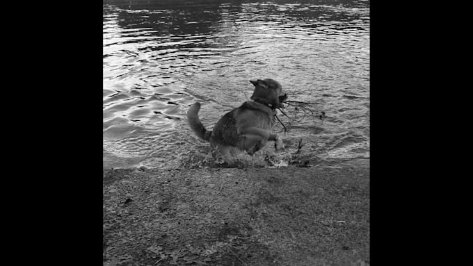 Edit your videos for free by Jordan_dennison | Fiverr