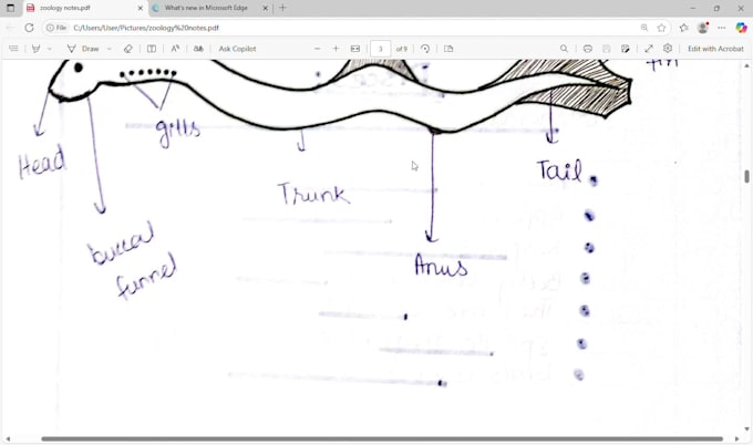 Write neat and custom handwritten academic notes for you by Minahil752 ...