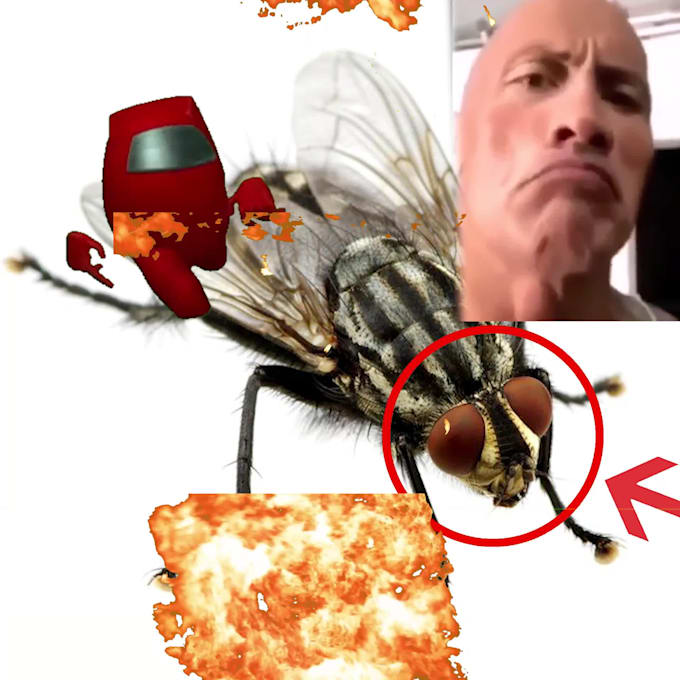 Make a video meme fake vs reality with your idea by Belbulba | Fiverr