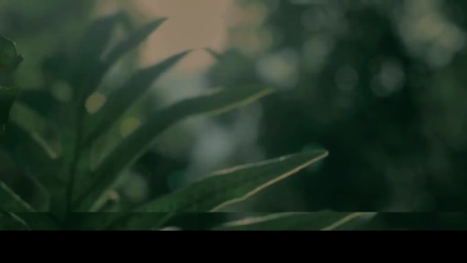 Faro video editing e miniature by Jamesdoser | Fiverr