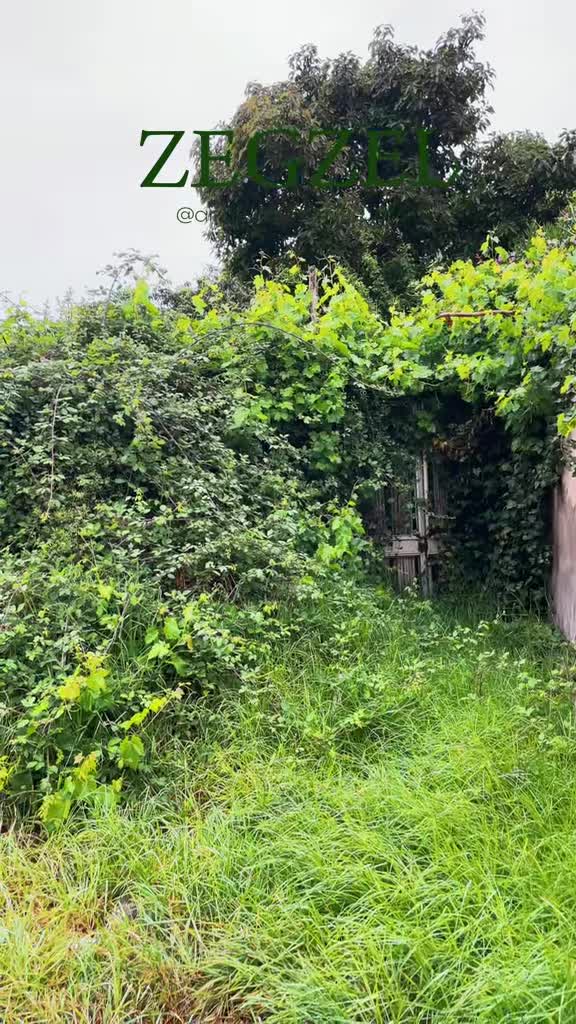 Edit viral reels, tiktoks, and shorts by Tryfirstn | Fiverr