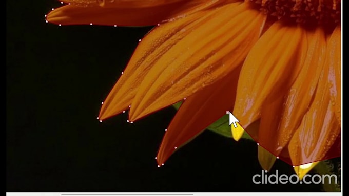 Annotate Images With Polygons And Bounding Boxes For Ai Models By Poojava Fiverr