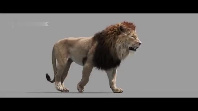 Make a realistic 3d animal animation, 3d model, cgi, 3d animal rigging ...
