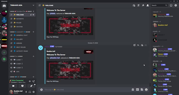 Professionally setup discord servers with best designs by Ibrahimasif16 | Fiverr