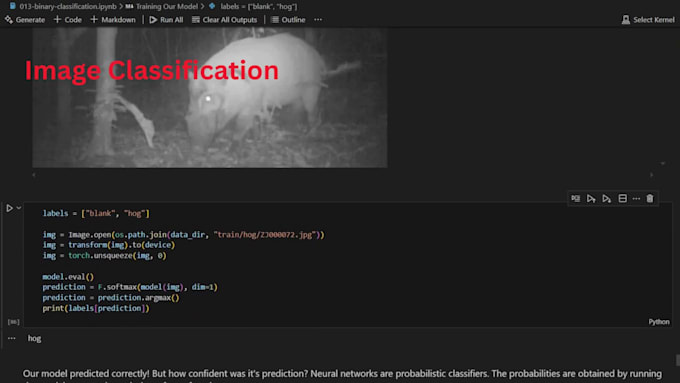 Create a machine learning prediction model in python by Zohaibmuaz | Fiverr