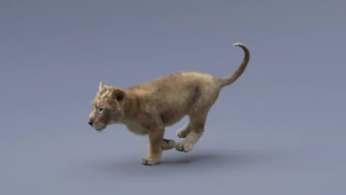 Do realistic 3d animal model, 3d cgi animal animation, animal rigging ...