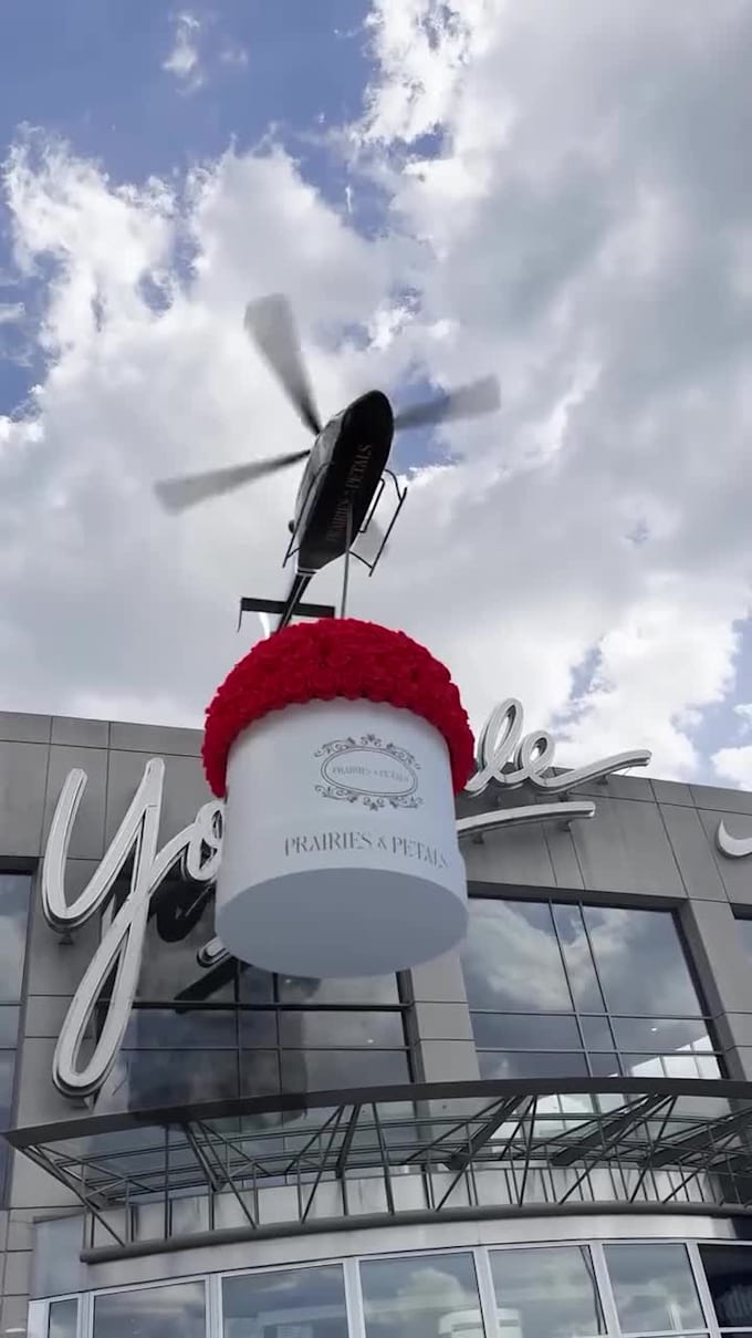 Cgi animation, vfx animation, cgi ads, cgi, vfx anamorphic animation by ...