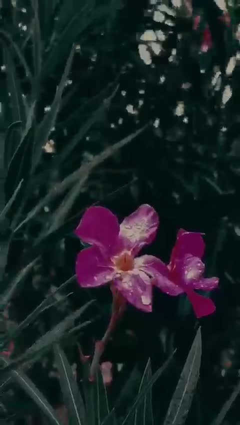 Design beyond imagination your vision our expertise by Shafi200 | Fiverr