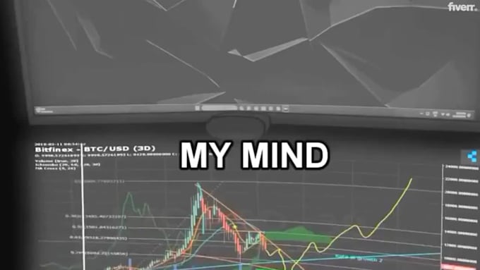 Create 2d crypto meme video, meme coin art, solana meme, ponke art ...