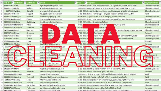 Do data cleaning , formatting, entry in microsoft excel by Chandra_sinha07 | Fiverr