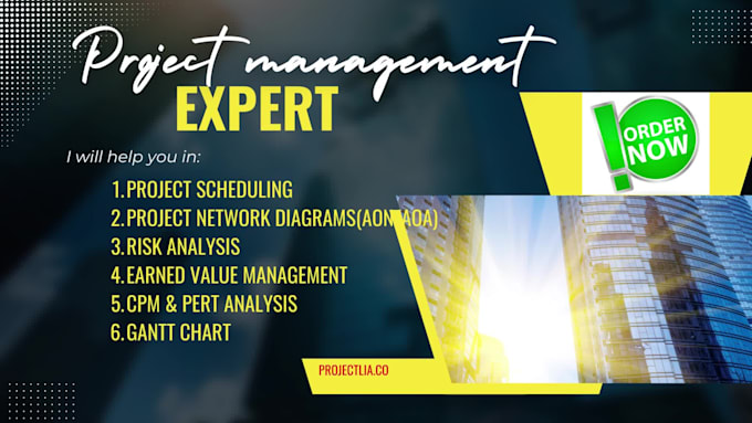 Help you excel in project management assignments and tasks by Projectlia | Fiverr