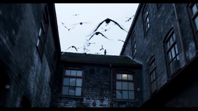 Do scary vfx,horror color grading, chroma keying,short film compositing ...