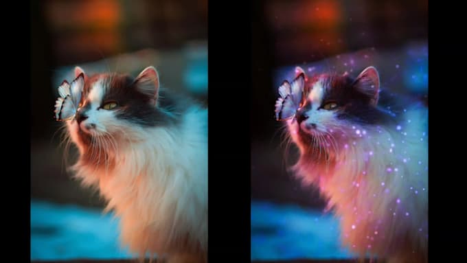 Animate still images into moving video or gif by Delvindj | Fiverr