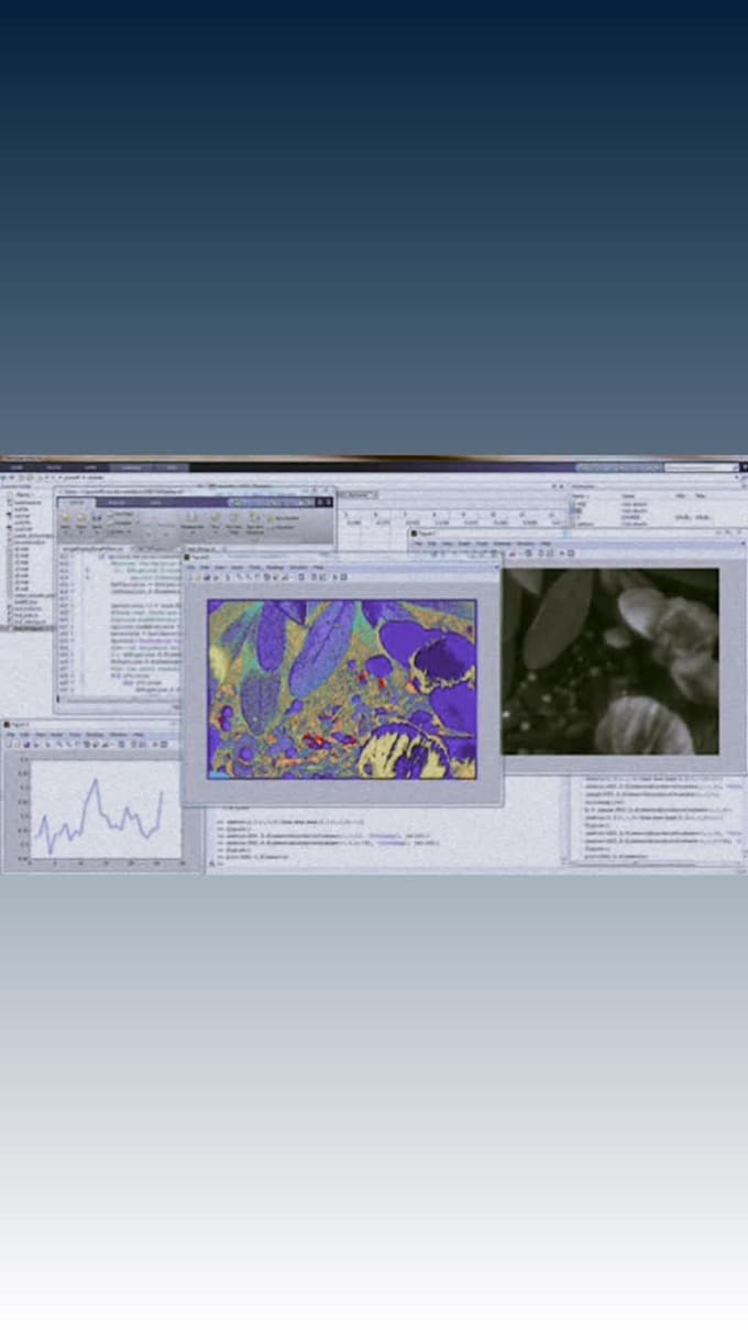 Do matlab programming for your projects with precision by Mehsood_khan1 | Fiverr