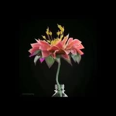 Render realistic cgi flower plant, 3d trees, 3d plant model, 3d plant ...