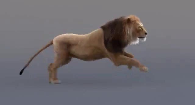 Create realistic cgi animal models, 3d animal rigging, cgi animal ...