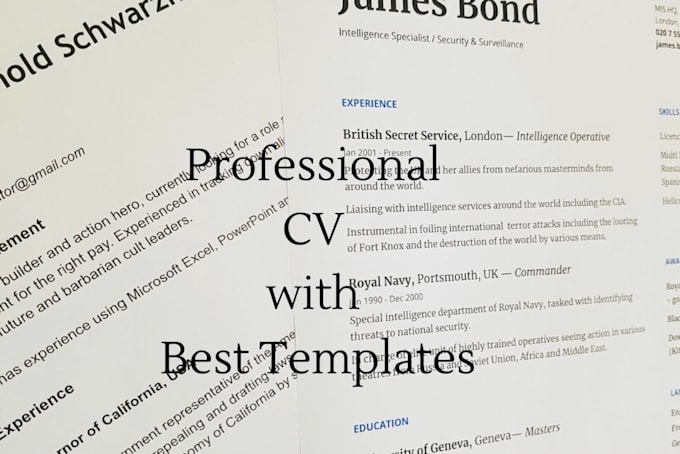 Make professional cv for you with best templates by Kaveensilva02 | Fiverr