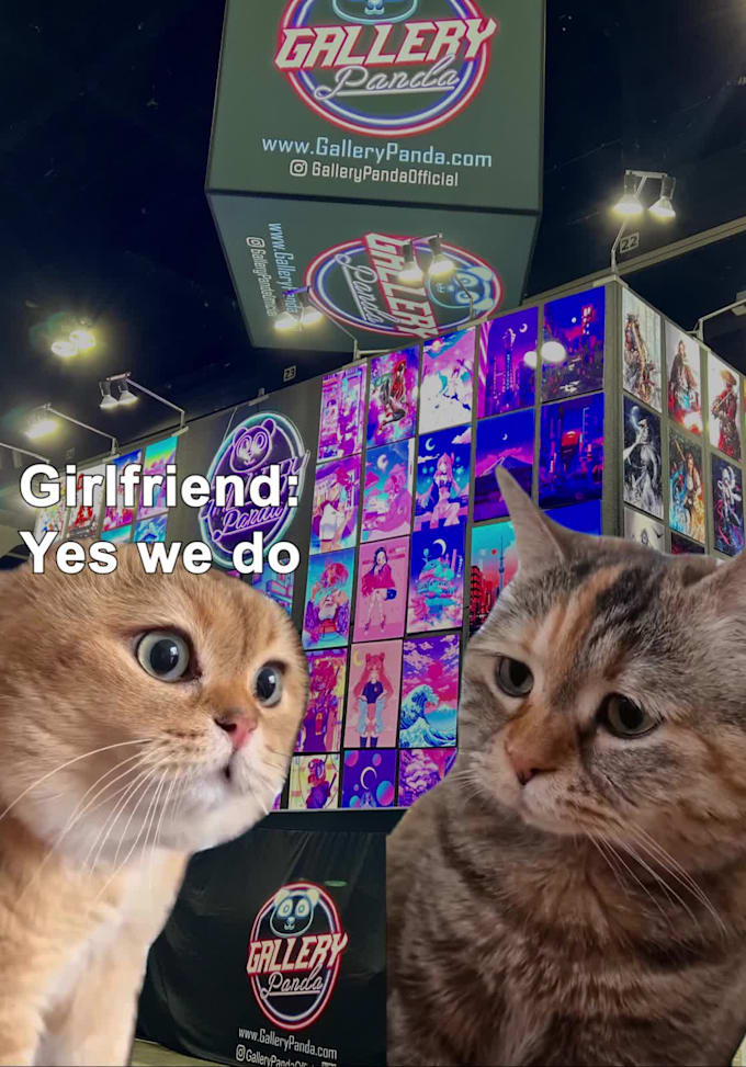 Create custom photo and video dank memes by Syedwaleedd | Fiverr