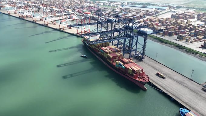 Prepare import export documents for customs by Lexares | Fiverr