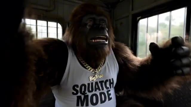 Create ai yeti or bigfoot reaction vlogs to human trends or internet culture by Minnavlog | Fiverr