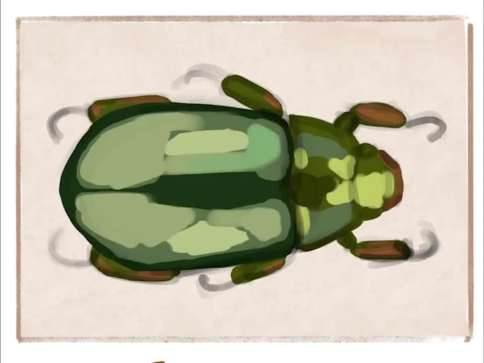 Draw your favorite bugs and insects by Karlafalck | Fiverr