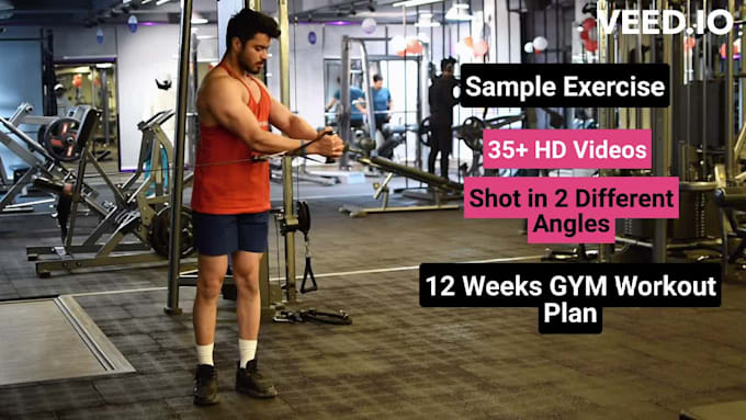 Give you 12 weeks of muscle building workout plan by Teammiq | Fiverr