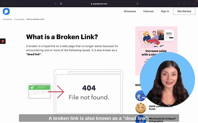 Fix broken links wordpress website immediately 404 errors by Kathy_roseus | Fiverr