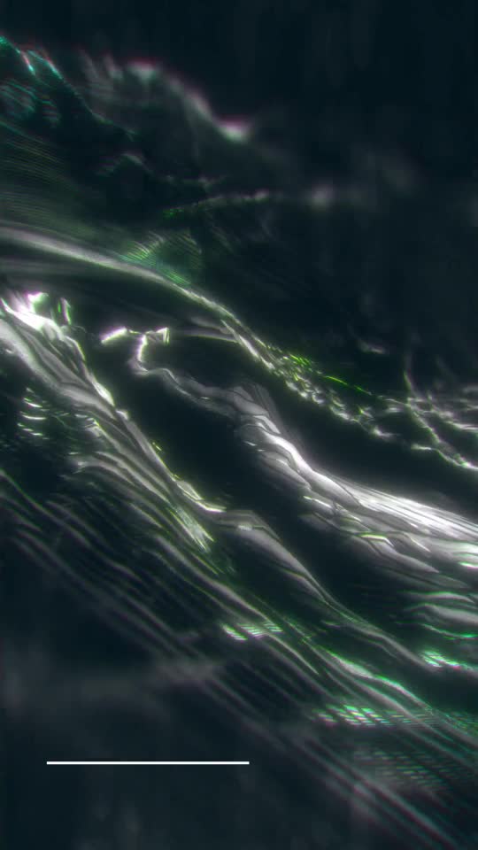 Create an awesome visual for you music by Kennywilliams49 | Fiverr