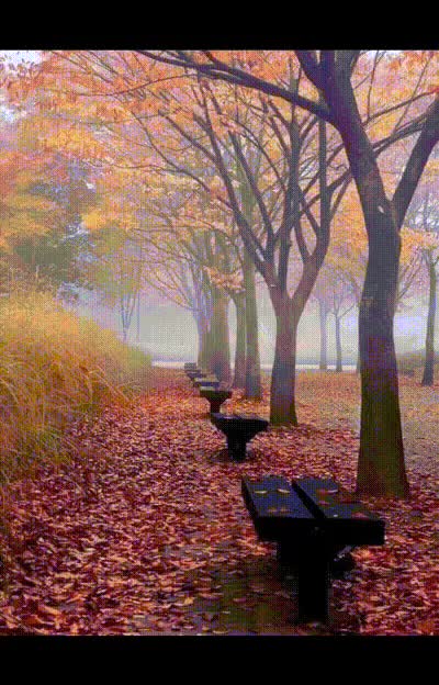 Create high quality gif image creation for your photos or images by ...