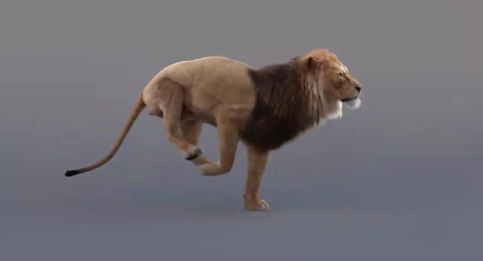 Do animal animation animal model animal design 3d character animation ...
