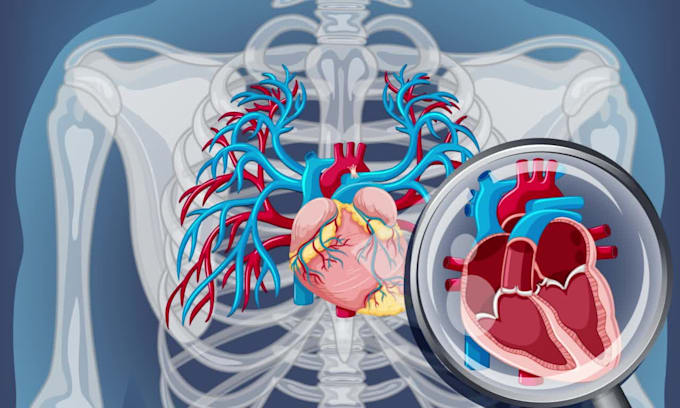 Design awesome medical illustration and scientific illustration anatomy ...