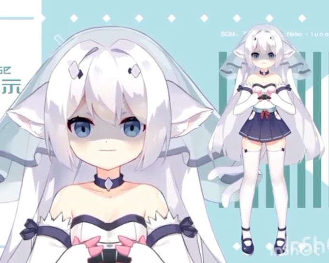 Design and rig live 2d model, anime character model for vtuber and ...
