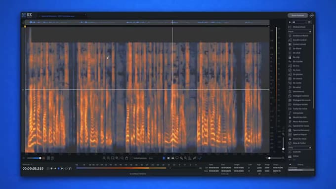 Use pricey software and decades of experience to clean your audio by Jesseconnell | Fiverr