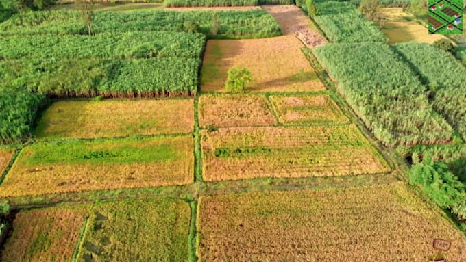 Make custom mods for fs19 fs22 fs25, real life maps for farming ...