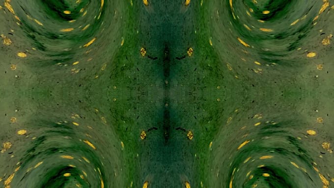 Create hand drawn mirror repeat pattern design by Munazaahmed118 | Fiverr