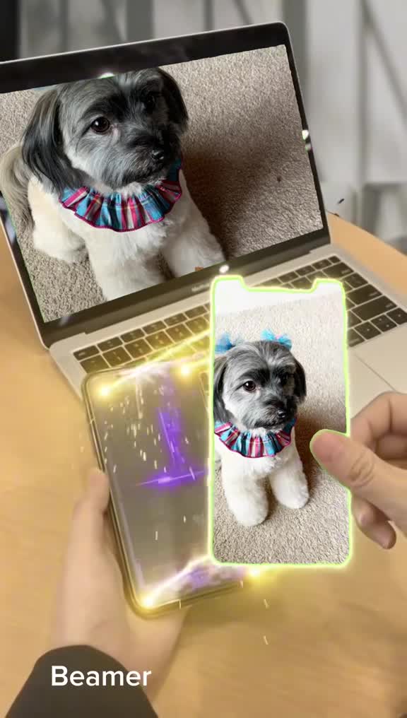 Create ugc dog product photos and videos for your brand by Ugcgenx | Fiverr