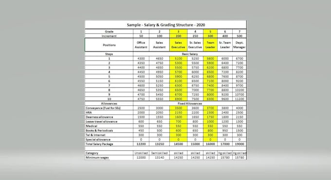 Make new salary and grading structure by Tryhrexpert | Fiverr
