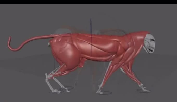 Rig your 3d character professionally in blender and maya by Sam4starex ...